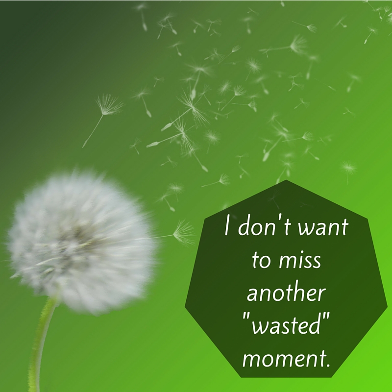 The Importance of Wasting Time - Carolyn Astfalk, Author